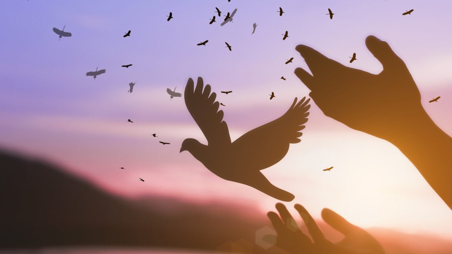 Liberation: The Path to Spiritual Freedom & Self-Realization