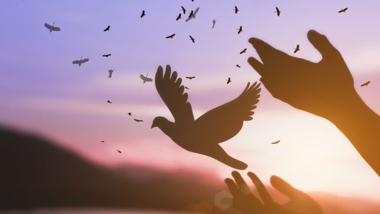 Liberation: The Path to Spiritual Freedom & Self-Realization