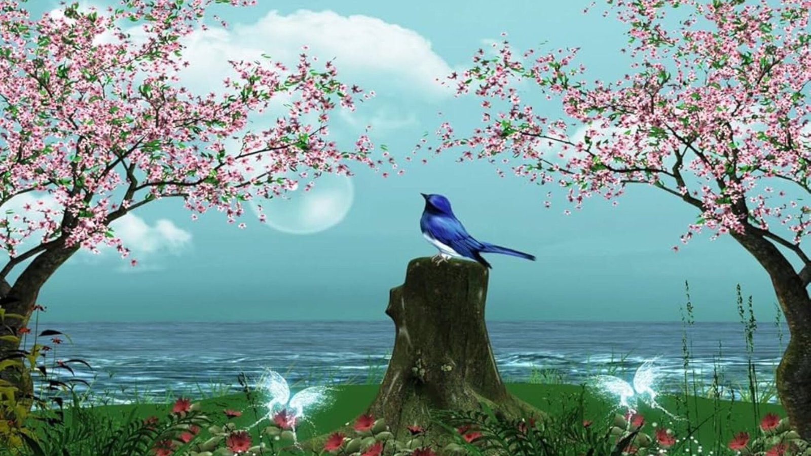 Types of Kindness: Meaning, Examples, Quotes & Life Lessons