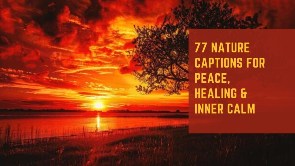 77 Nature Captions for Peace, Healing & Inner Calm