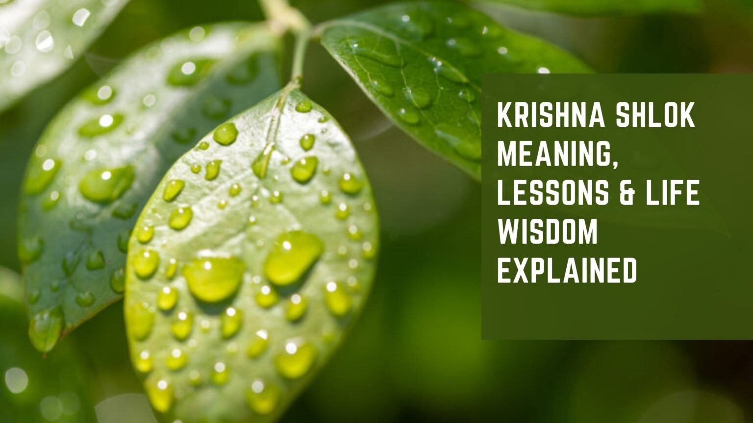 Bhagavad Gita Sayings: Timeless Wisdom, Lessons & Quotes